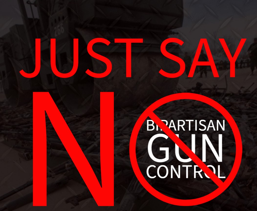 RED ALERT: McConnell Green Lights Gun-Control! - American Firearms ...