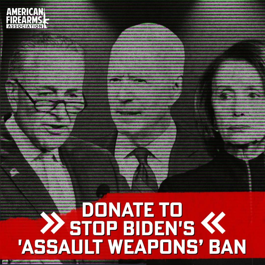 🚨 GUN BAN HEARING HAPPENING NOW 🚨 - American Firearms Association